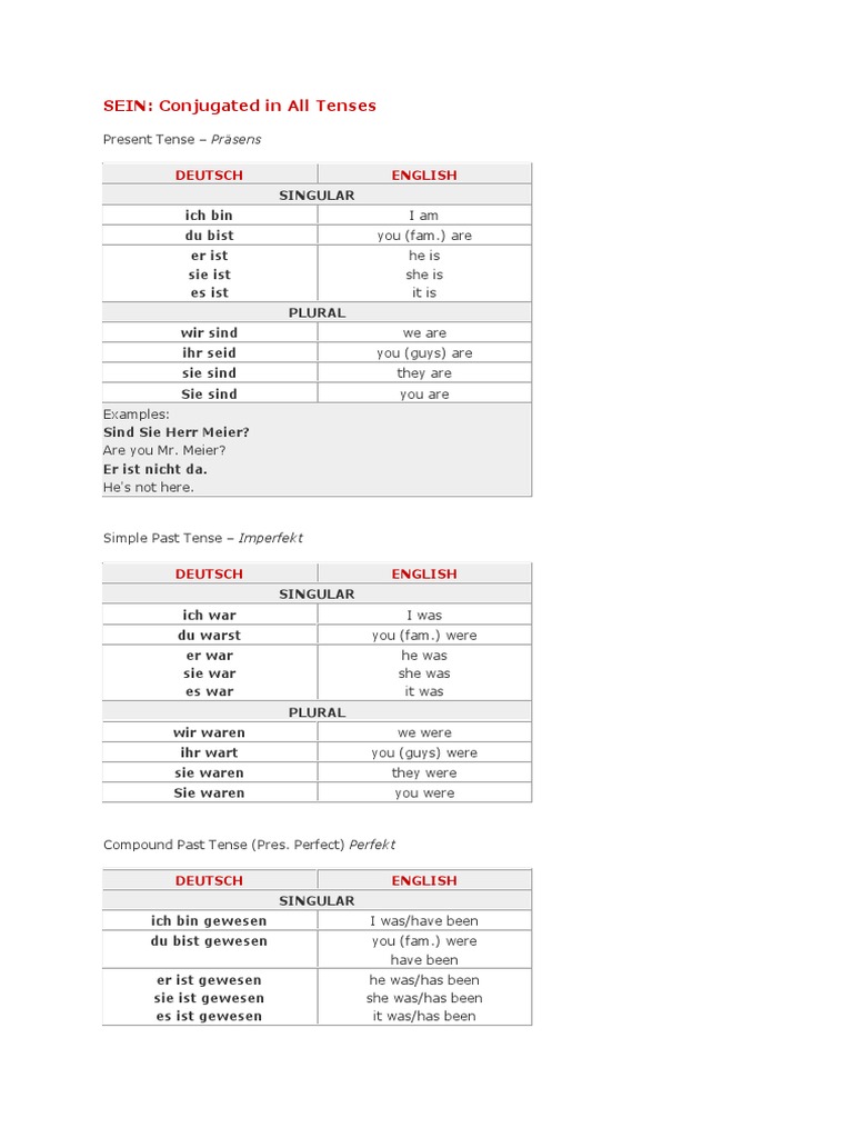 SEIN Conjugated in All Tenses | PDF