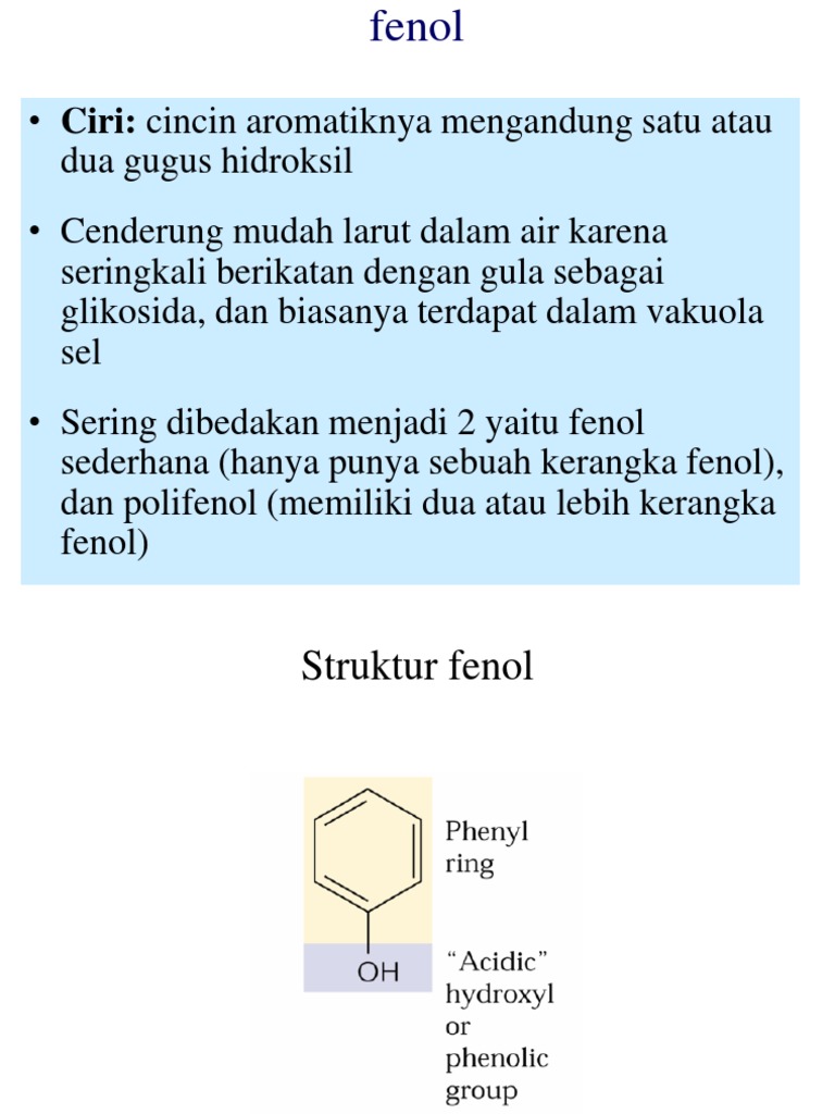 Senyawa Fenolik | PDF