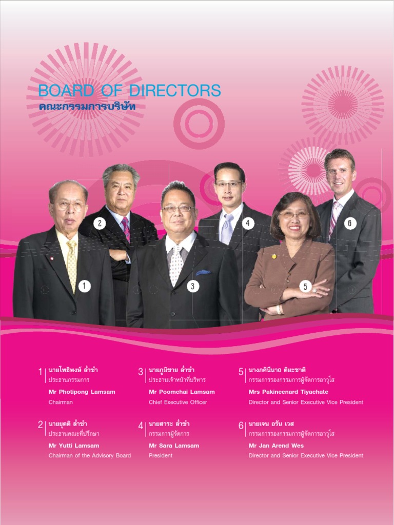 Boardof Directors 1 | PDF