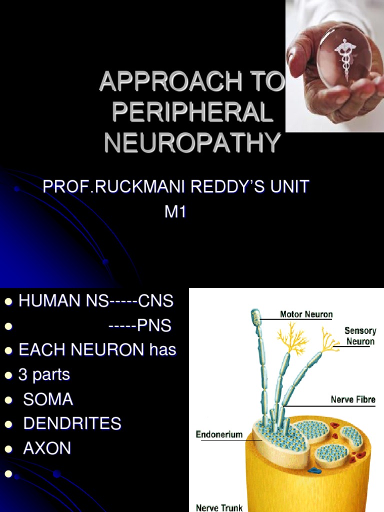 Comprehensive Guide to Peripheral Neuropathy | PDF | Peripheral ...