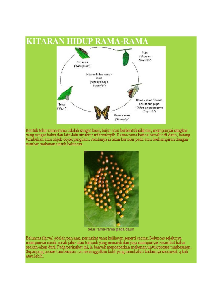 Kitaran Hidup Rama | PDF