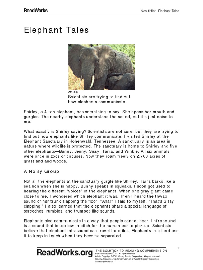 Reading Passage | Elephant | Wildlife