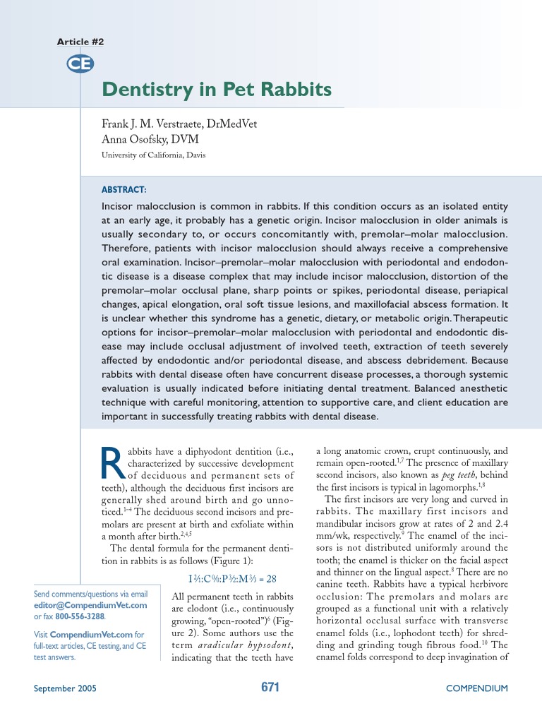 Rabbit Dentistry | Anesthesia | Dental Anatomy