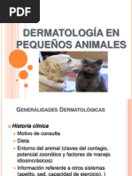 Cistocentesis | PDF | Vejiga urinaria | Ciencias de la Salud