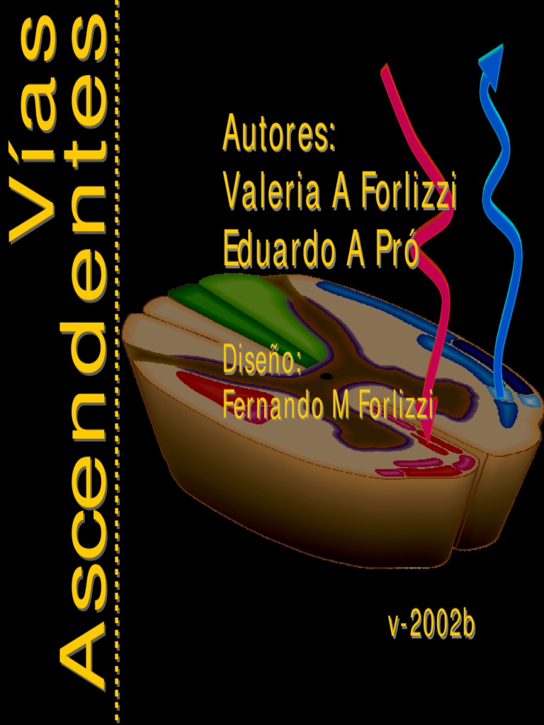 Autores: Valeria A Forlizzi Eduardo A Pró | PDF