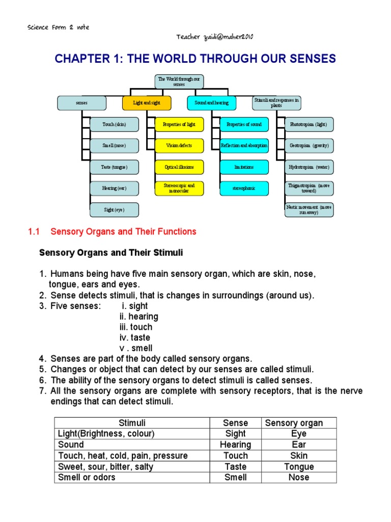 Chapter 1 The World Through Our Senses | PDF | Senses | Hearing