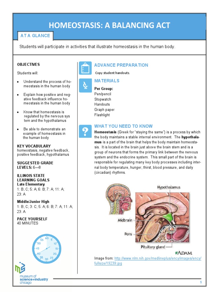 Homeostasis | Homeostasis | Breathing
