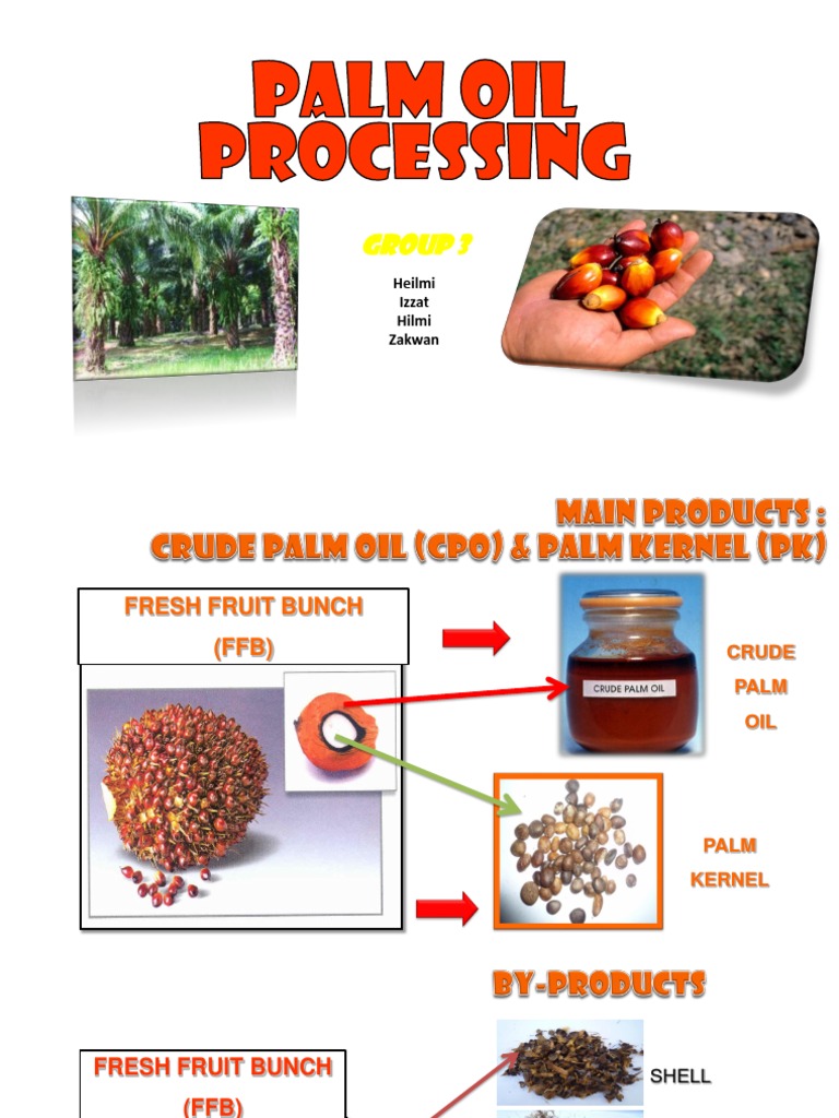 Palm Oil Processing | PDF | Oil Refinery | Petroleum