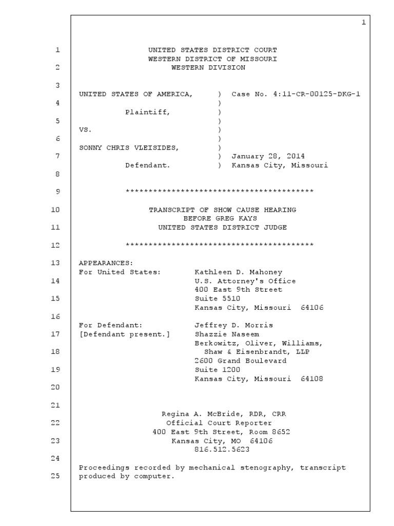 Sonny Vleisides Show Cause Hearing Transcript | PDF | United States ...