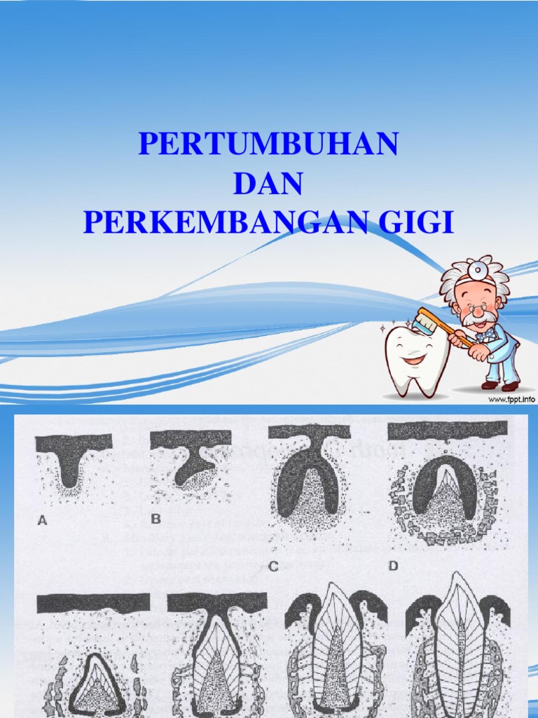 Tumbuh Kembang Gigi | PDF