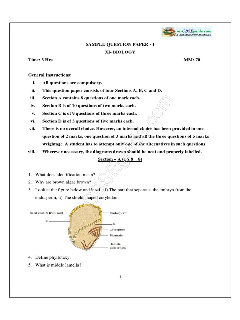 CBSE Class 11 Biology Sample Paper-01 (Solved) | PDF | Electron ...