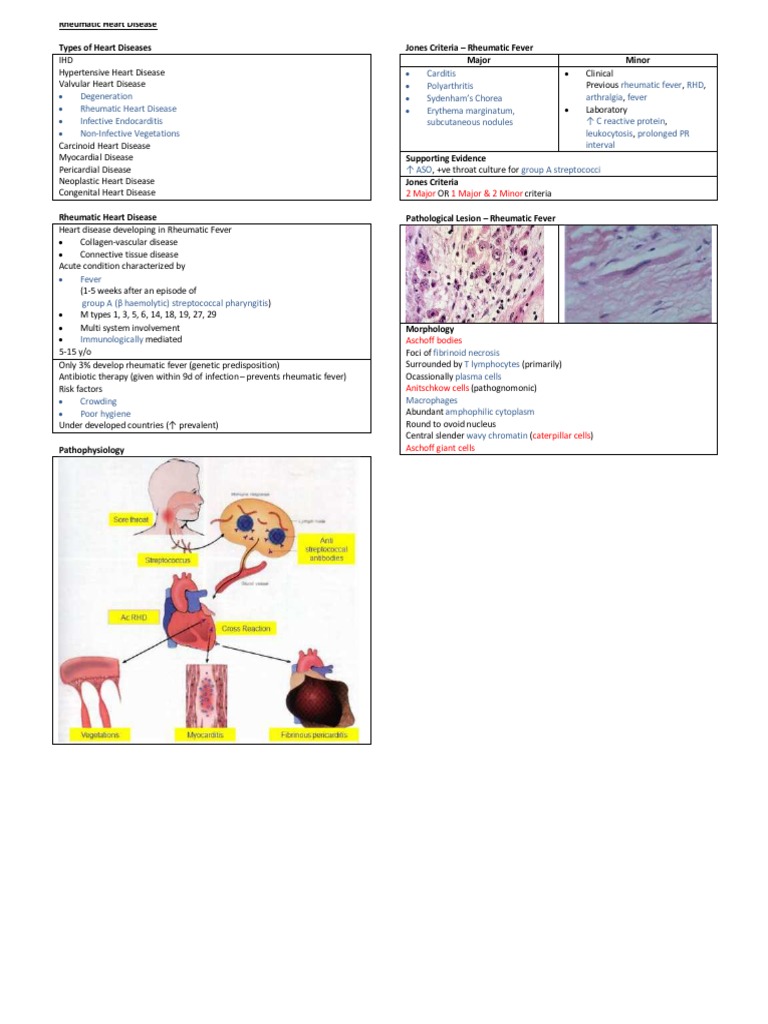 Encrypted Document Placeholder | PDF | Heart Valve | Heart