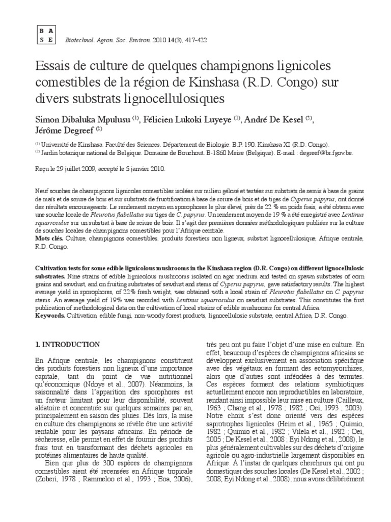 Culture de champignons comestibles en RDC | PDF | Champignons | Afrique