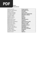 Ruze Topalovic Katalog | PDF