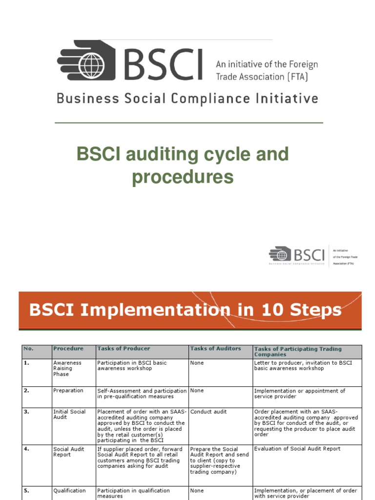 Bsci Auditing Cycle | PDF | Auditor's Report | Audit