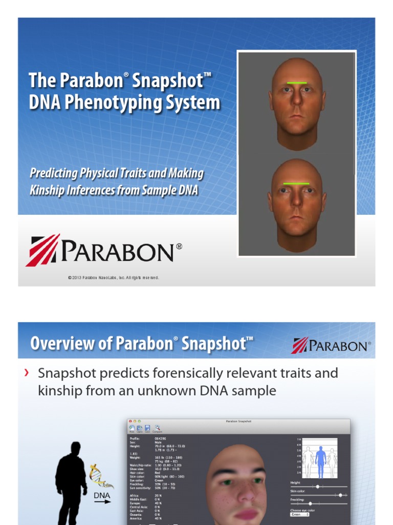 The Parabon Snapshot DNA Phenotyping System | PDF | Serial Killer ...