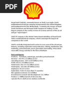 Shell Business Areas: Technical Commercial Functional | PDF | Royal ...