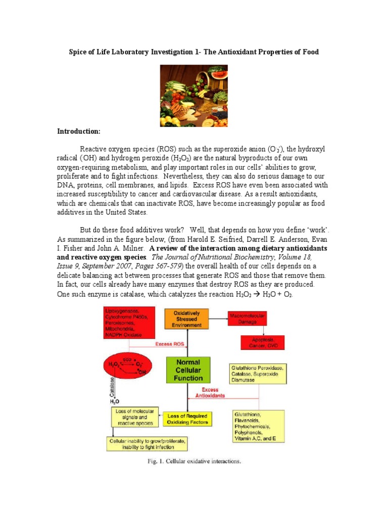 Antioxidant Lab | PDF | Reactive Oxygen Species | Chemical Substances