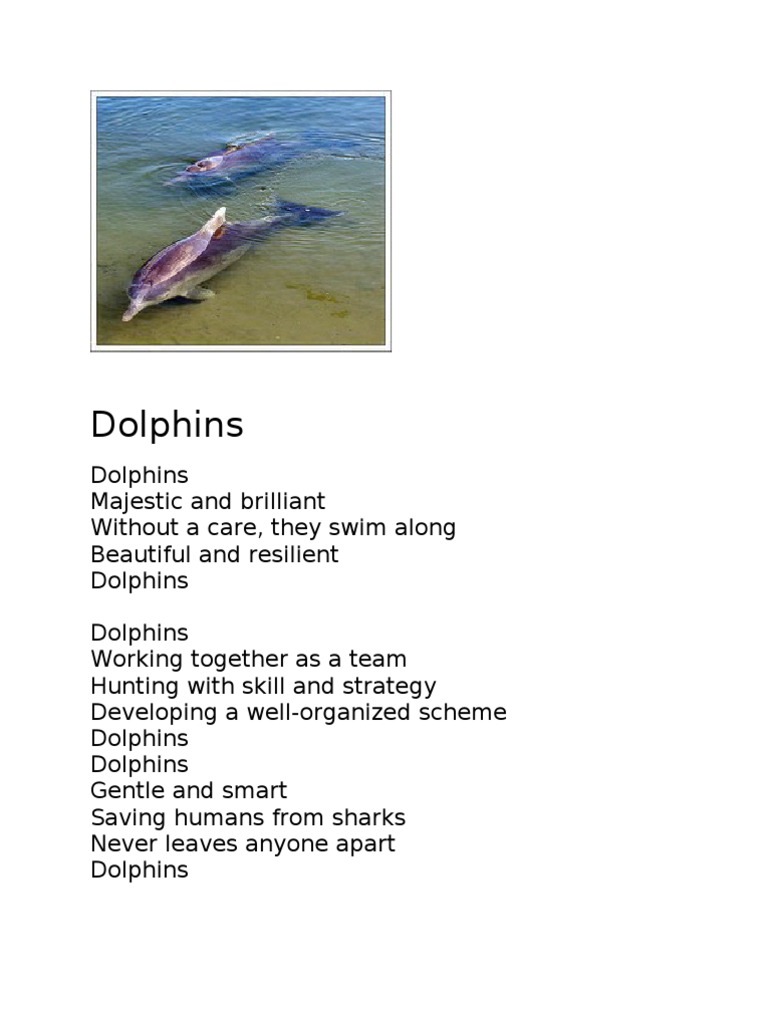 A Poem About Dolphins | PDF | Dolphin | Cetacea