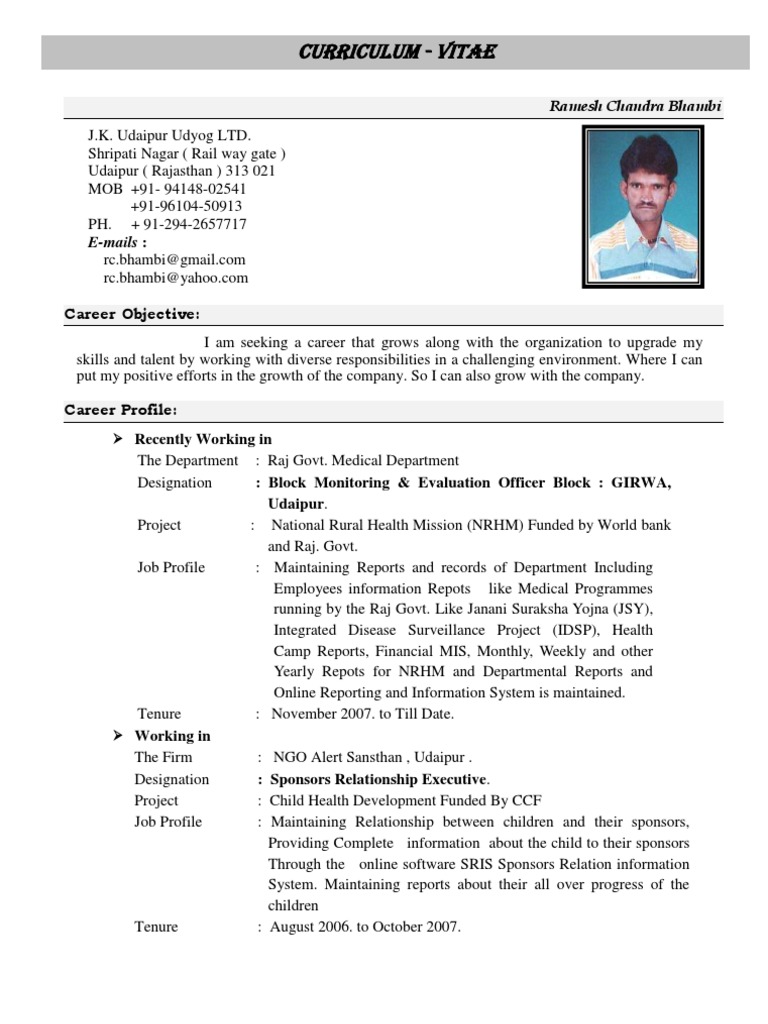 Curriculum - Vitae | PDF | Computing And Information Technology | Business
