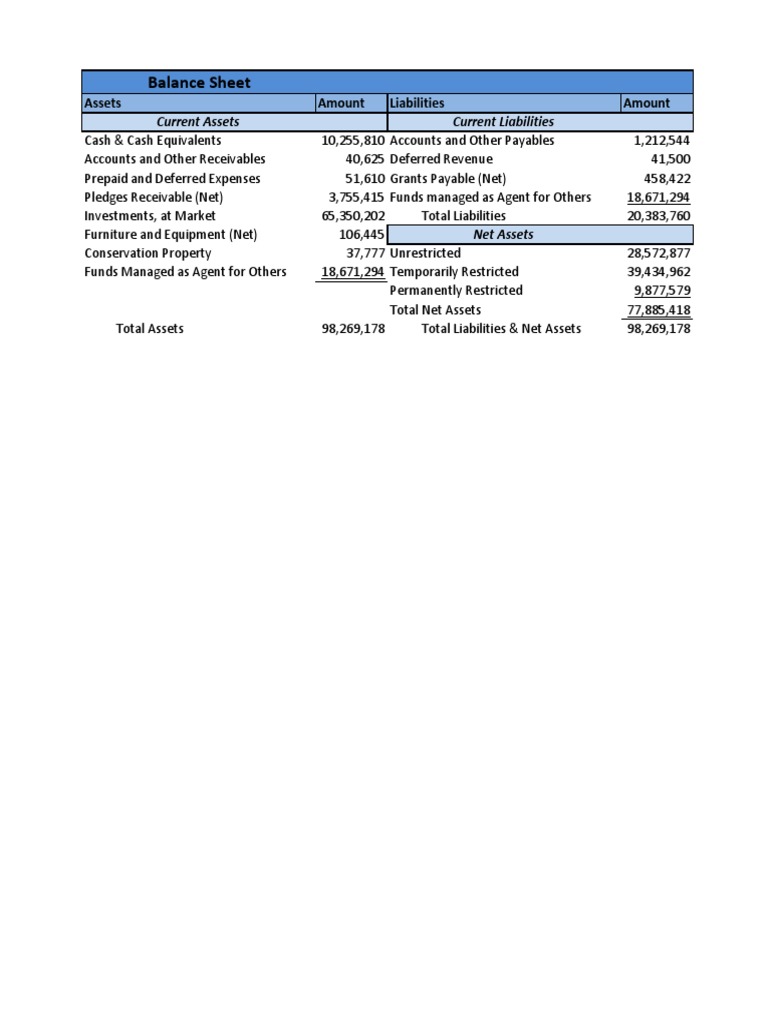 NPF Balance Sheet | PDF | Finance & Money Management