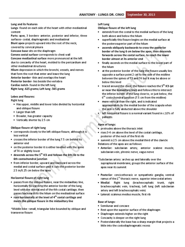 12 Ana Lungs September 30 Cinio | PDF | Lung | Aorta