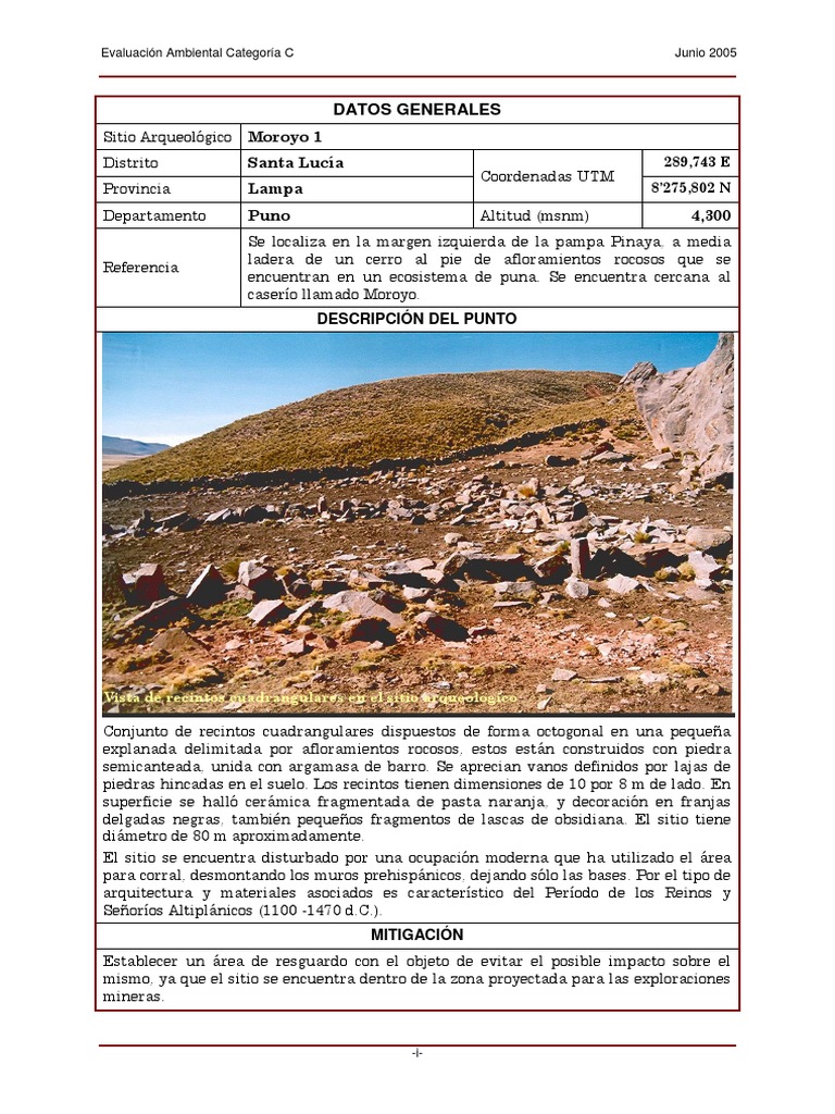 Ficha Arqueologica | PDF | Arqueología | Naturaleza
