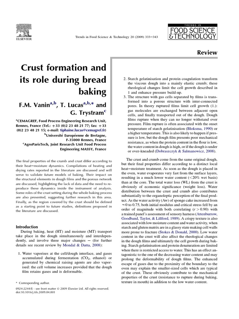 Crust Formation and Its Role During Bread Baking | PDF | Breads | Rheology