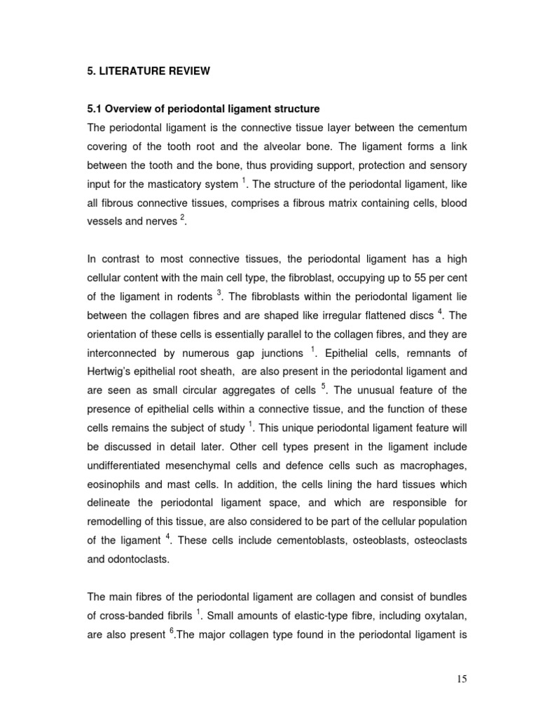 Width of PDL Space | PDF | Human Tooth | Tooth Enamel