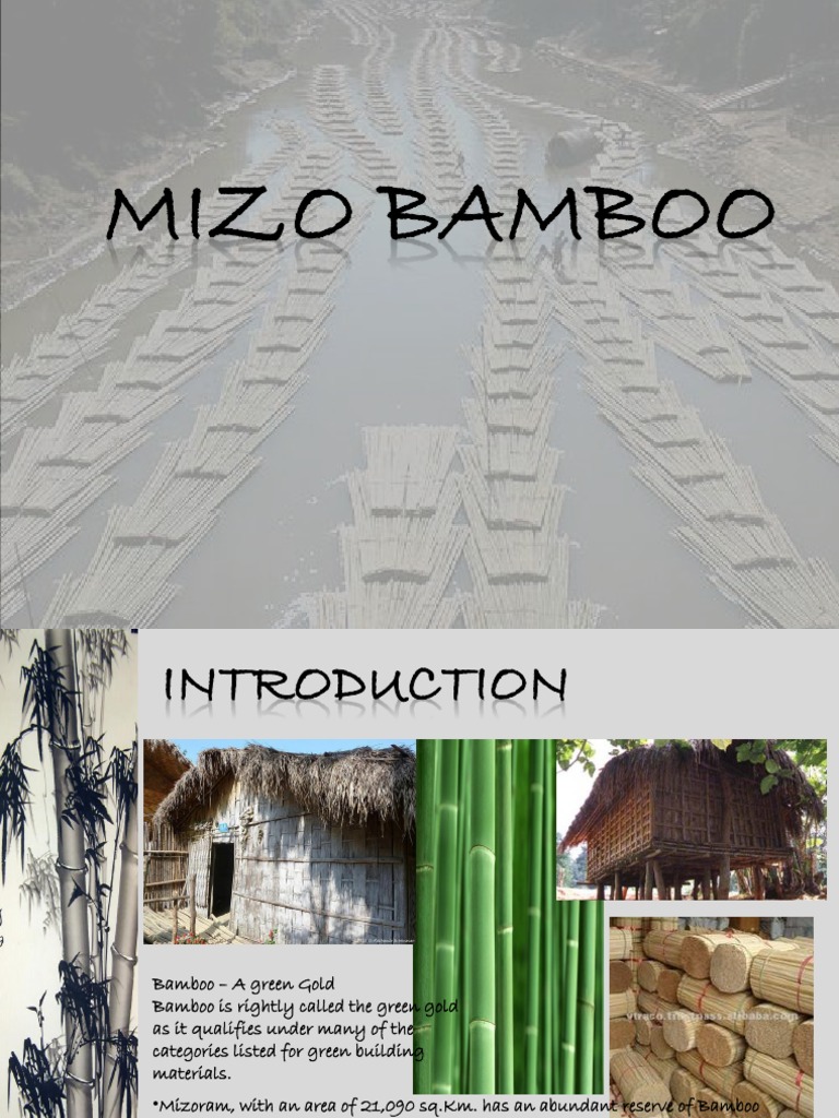 Mizo Bamboo | Download Free PDF | Framing (Construction) | Building