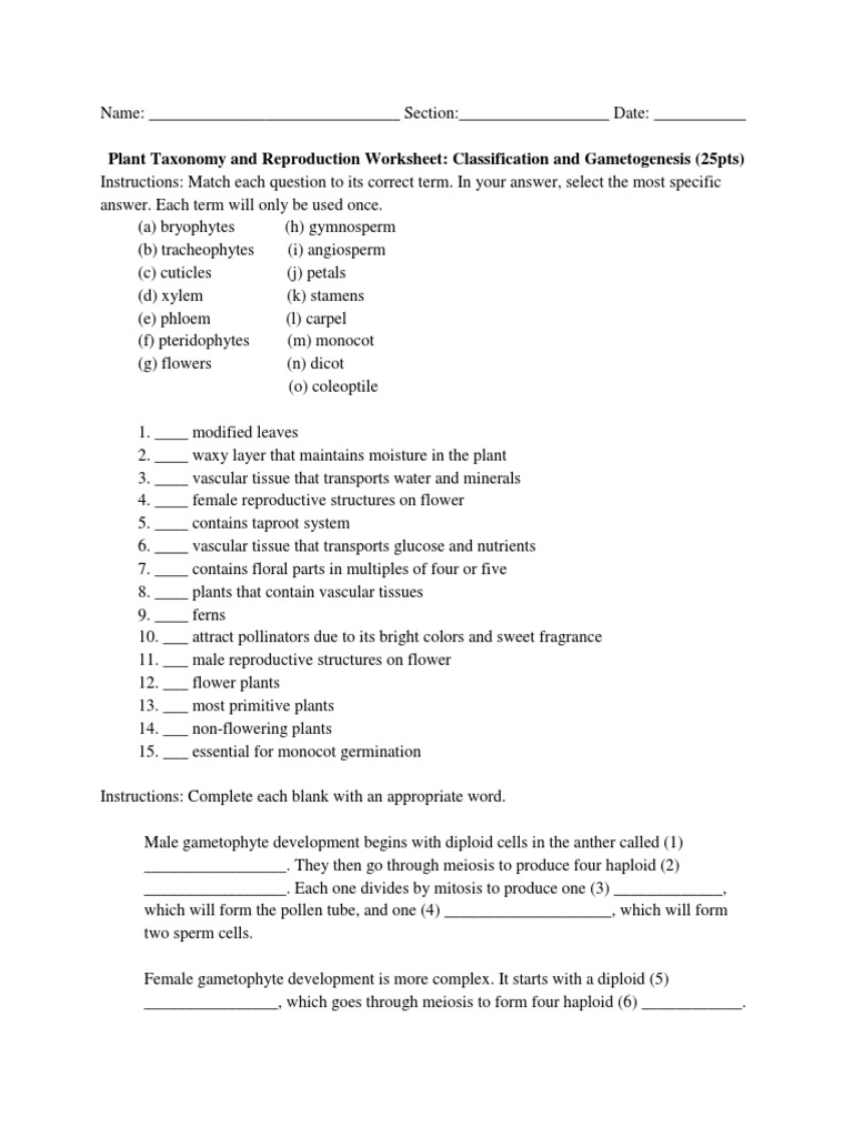 Plant Classification Worksheet