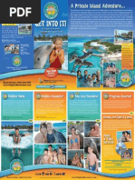 Category Ot Goals. | PDF | Perception | Attention