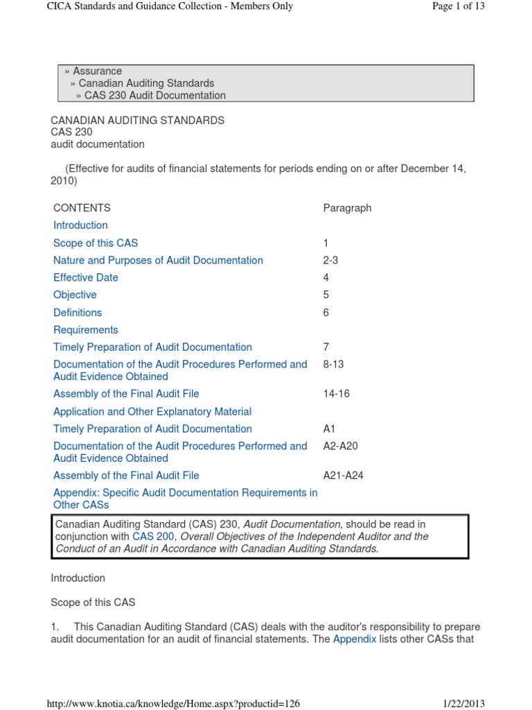 CAS 230 Audit Documentation | PDF | Financial Audit | Audit