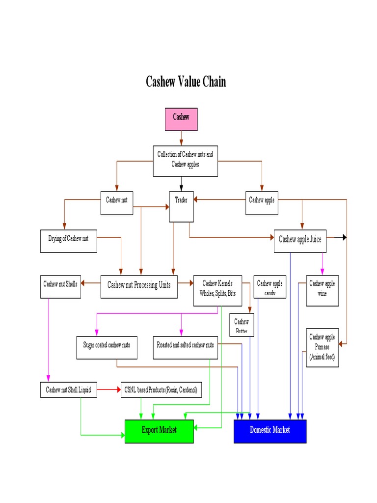 Cashew Value Chain | PDF | Juice | Diet & Nutrition