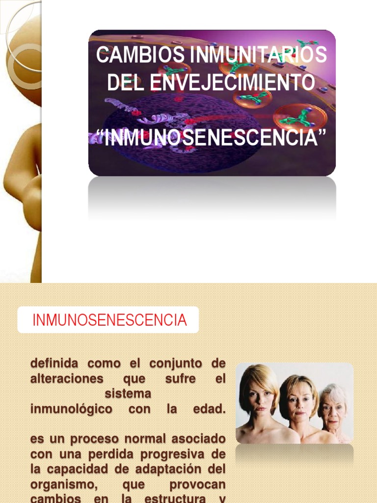 Definición de Inmunosenescencia | PDF | Sistema inmune | Linfocitos