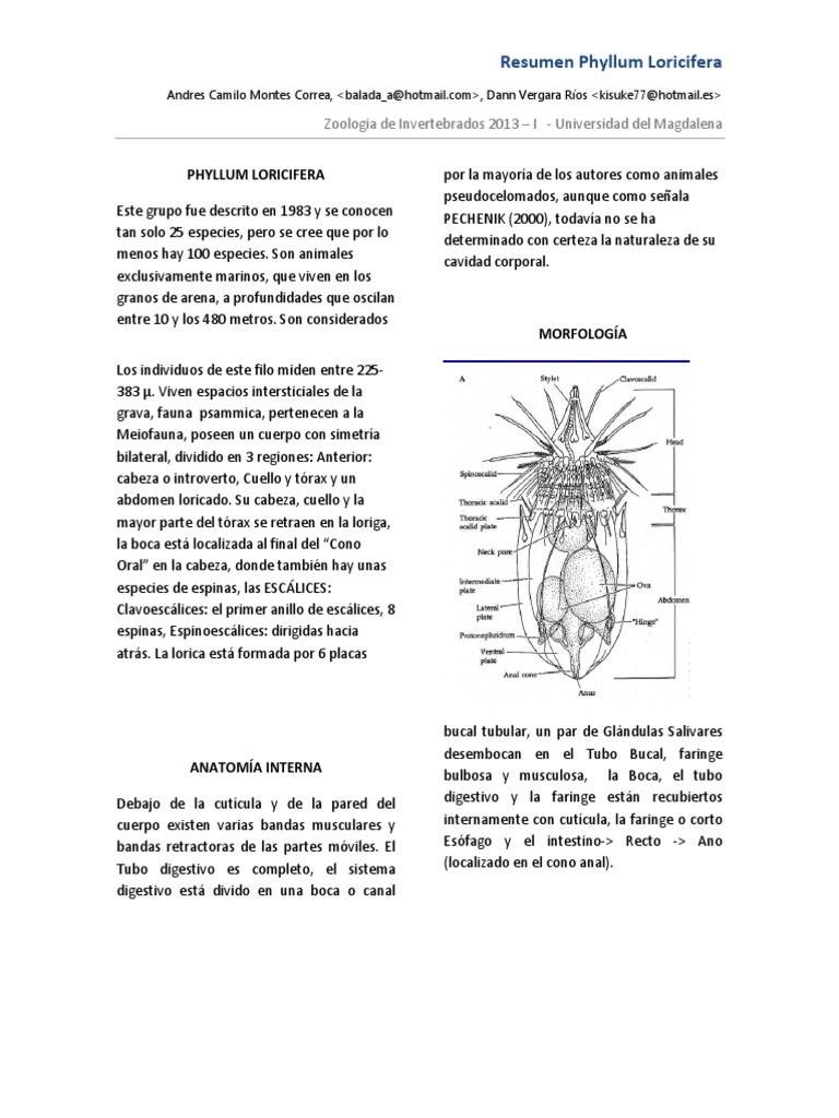 Loricifera Filo I | PDF | Protostomas | Fisiologia Animal