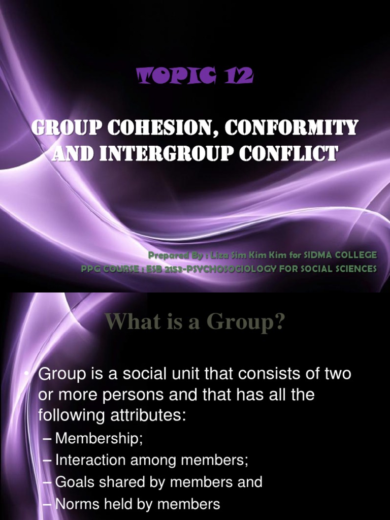 Topic 12: Group Cohesion, Conformity and Intergroup Conflict | PDF ...