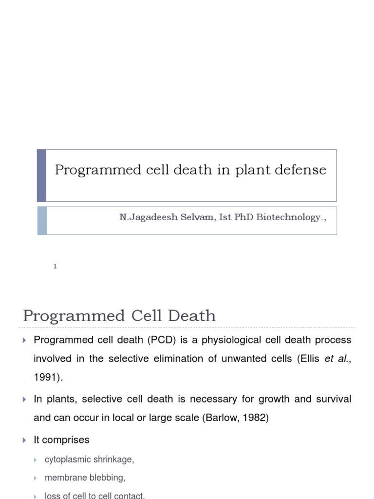 Programmed Cell Death in Plant Defense | PDF | Apoptosis | Reactive ...