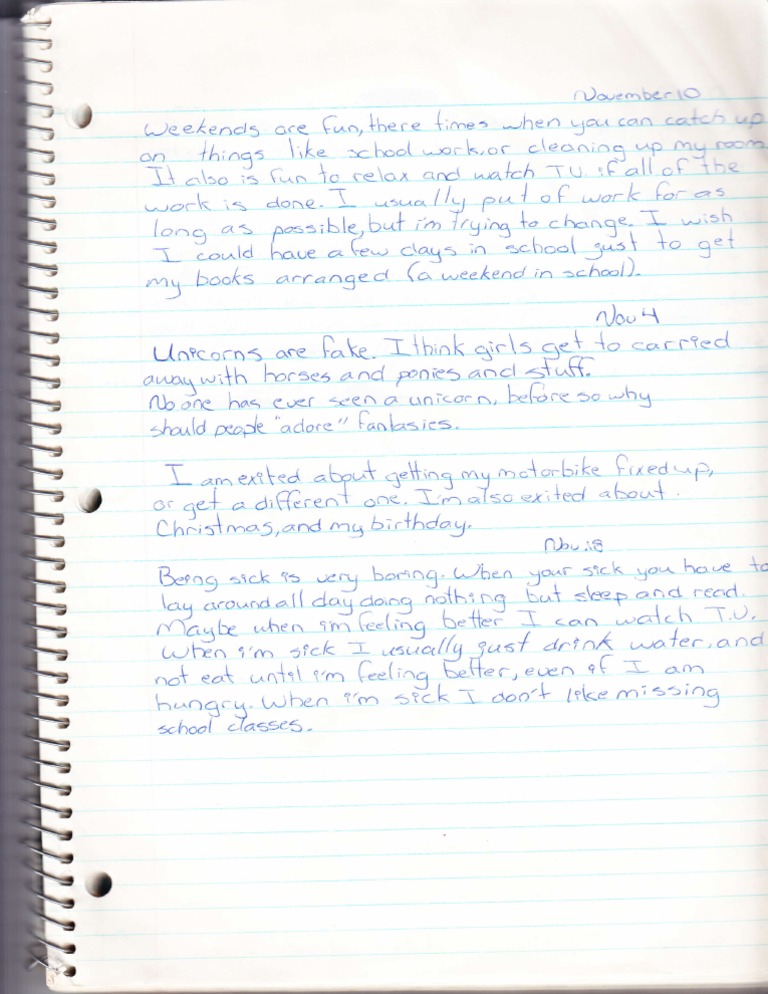 Grade 4 Journal | PDF
