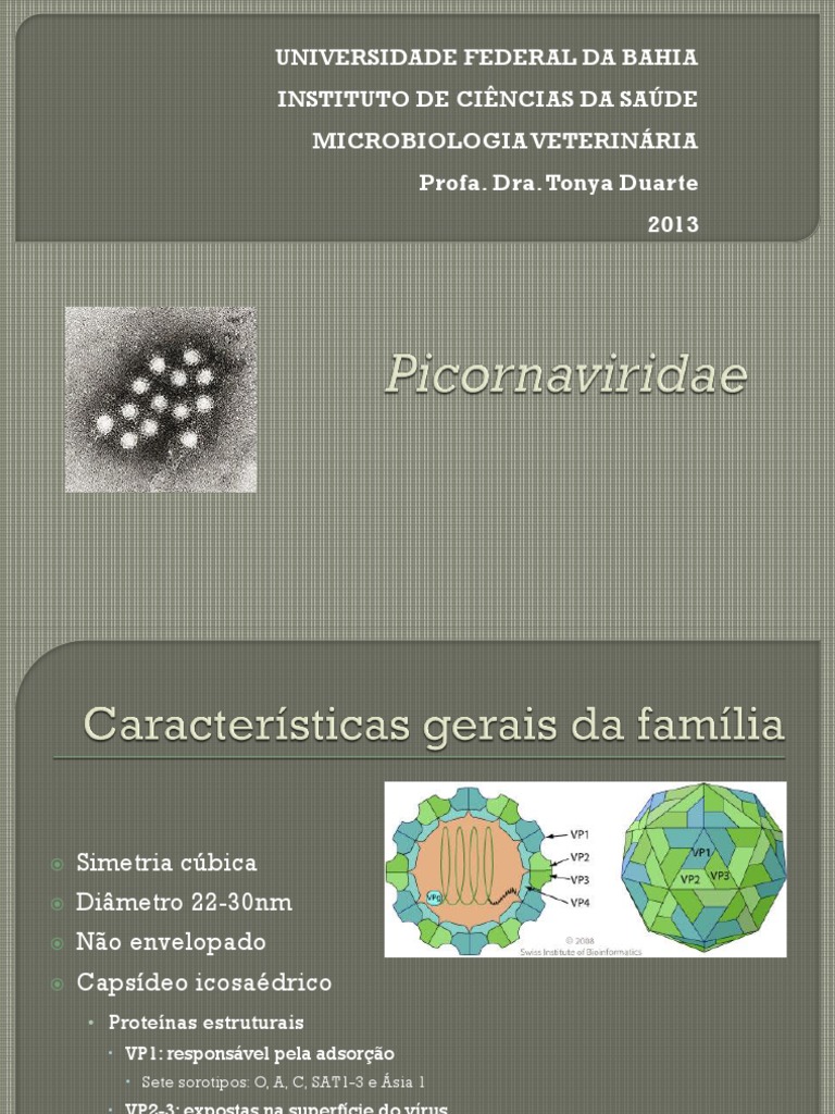 Aphthovirus | Vírus | Microbiologia