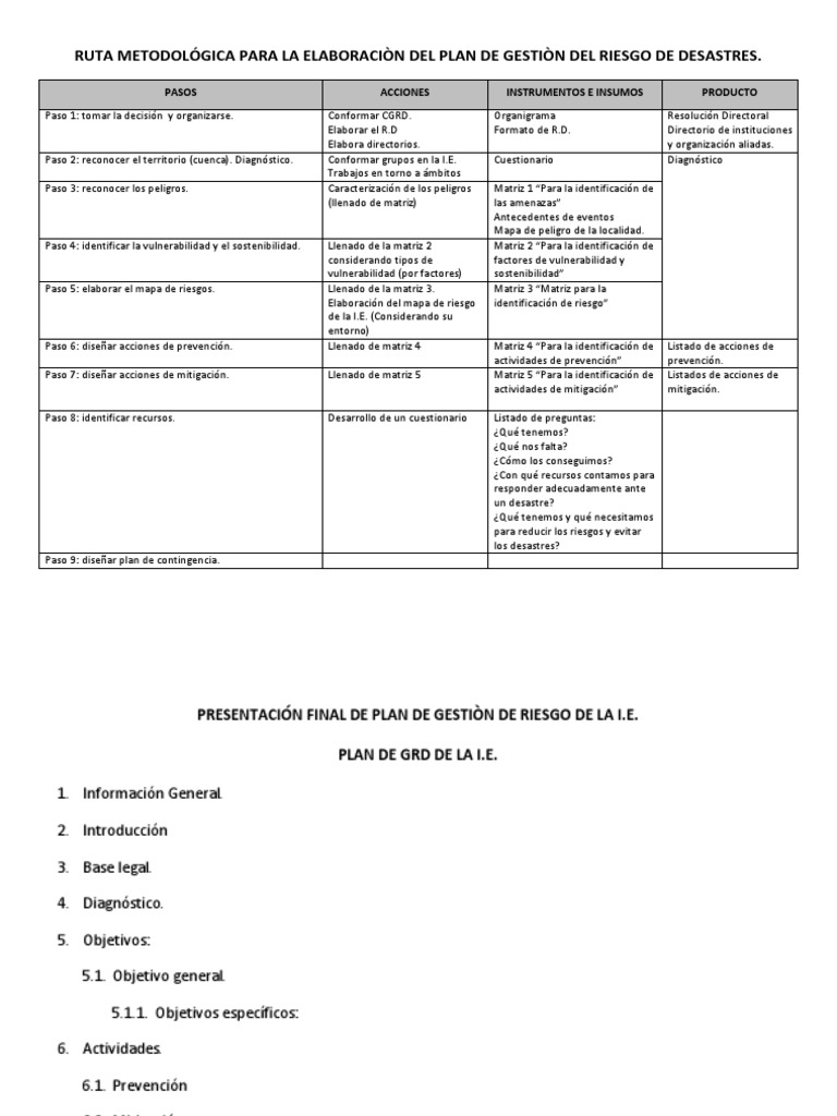 Matriz de Pasos para La Elaboraciòn de PGRD | PDF | Vulnerabilidad | Riesgo
