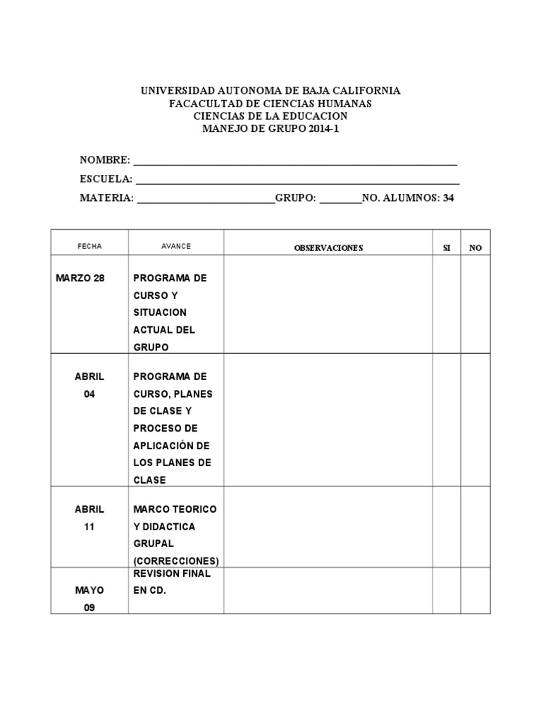 Formato Registro de Avances | PDF