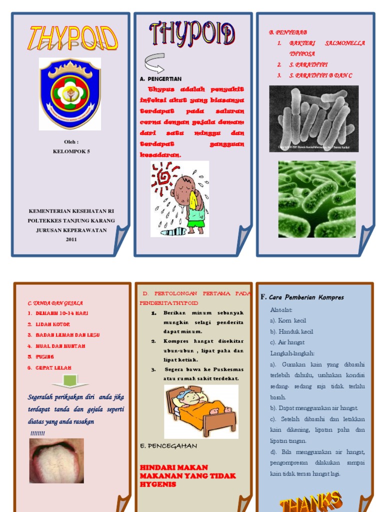 Promosi Kesehatan (Leaflet Thypoid) | PDF | Sains & Matematika | Teknologi & Rekayasa