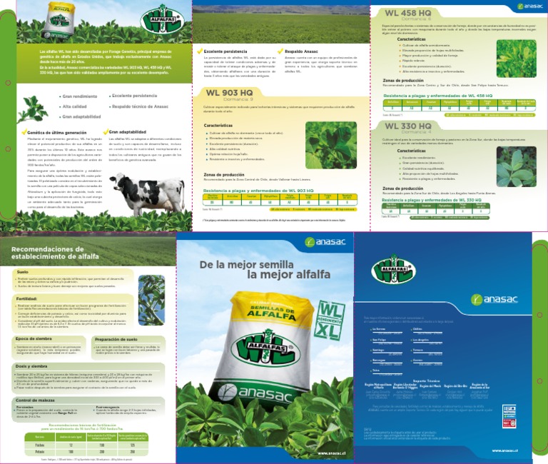 Triptico Alfalfa WL | PDF | Alfalfa | Siembra