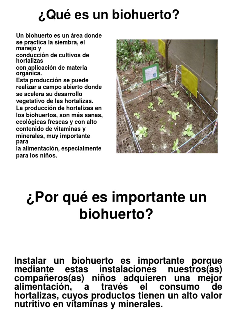 Bio Huerto | PDF | Siembra | Vegetales