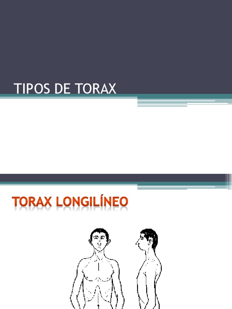 Tipos de Tórax y de Respiración | PDF | Ciencia y matemáticas