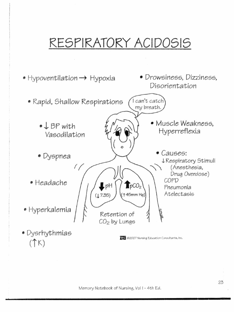 Acid Base Balance | PDF