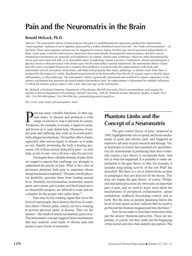 Pain and Neuromatrix | Pain | Brain