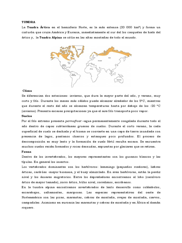 Fichas de Biomas Terrestres | PDF | Selva | Suelo