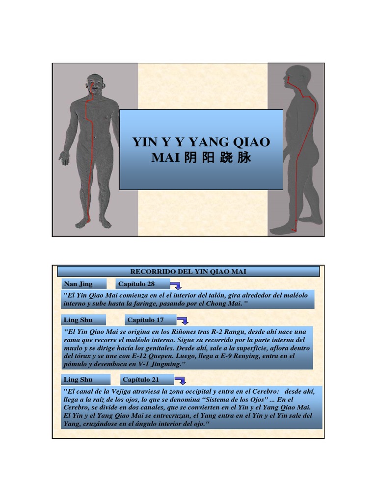 EV6 Yin y Yang Qiao Mai 2 | Yin y yang | Abdomen